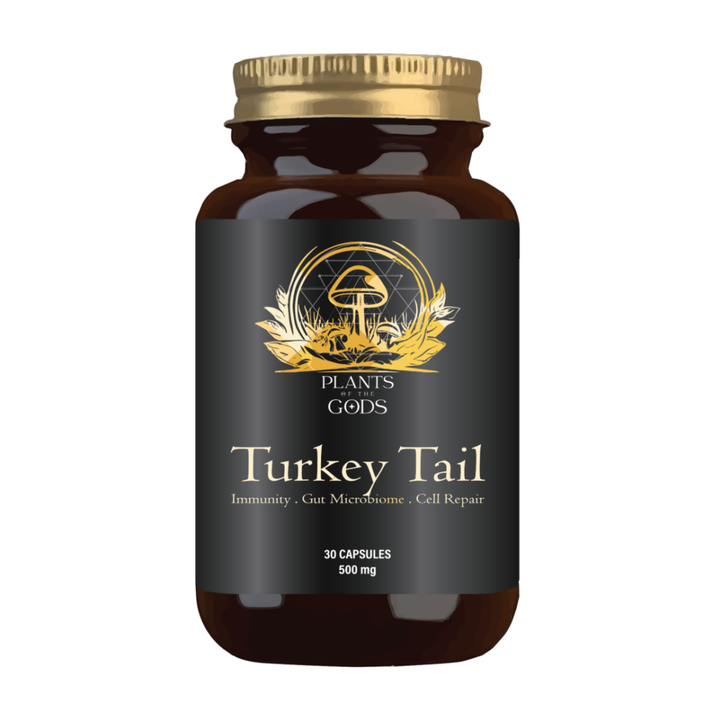 Turkey Tail Extract – 500mg 30 Caps - Plants of the gods